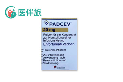 恩诺单抗(Padcev)简介_医伴旅